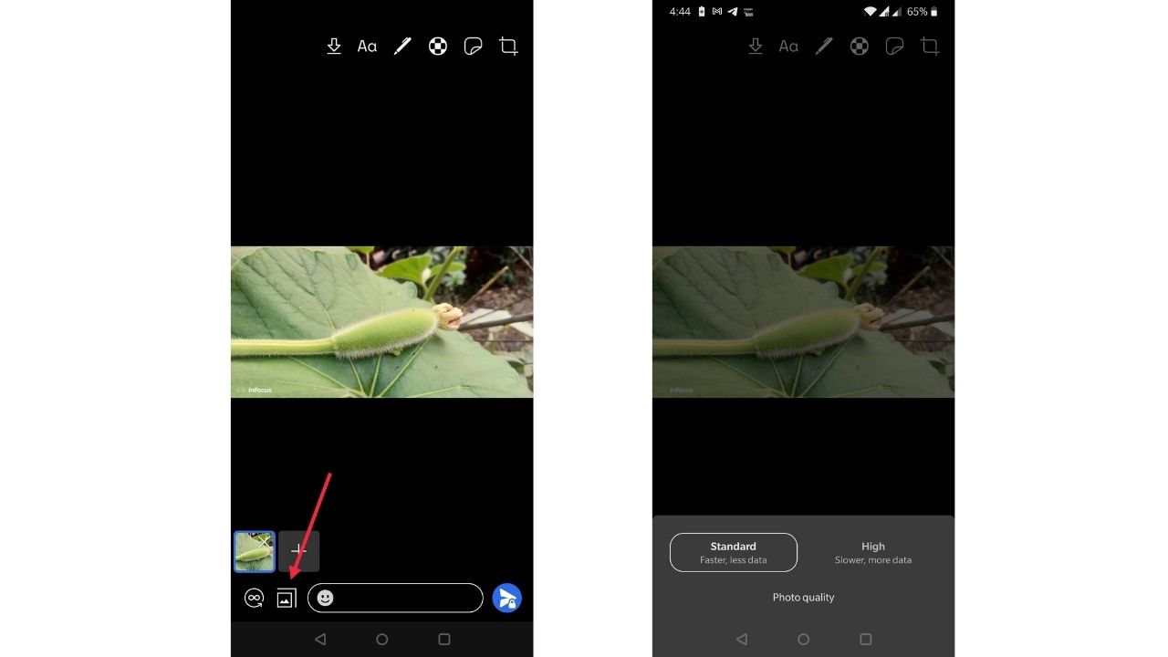 Signal app now lets you share 4K photos