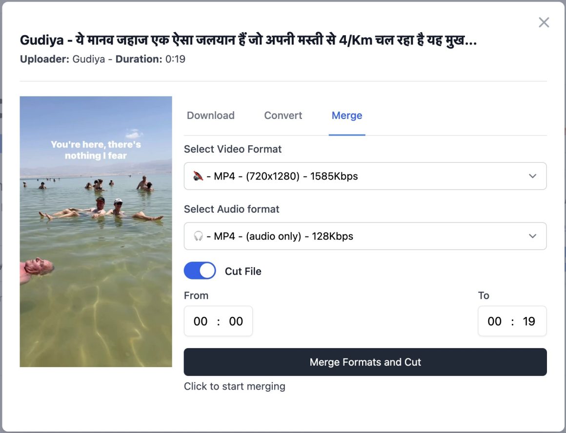 SaveTheVideo.com Review: A Handy Tool for Downloading Videos Online